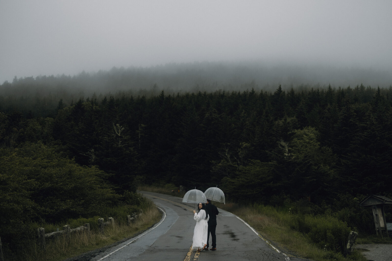 How to Prep for Mountain Weather: Roan Mountain Engagement Session ...